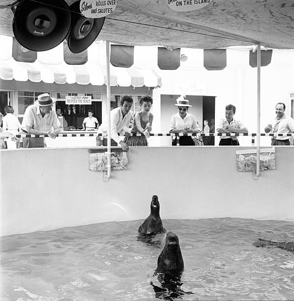 Mark Goddard, Penny Parker