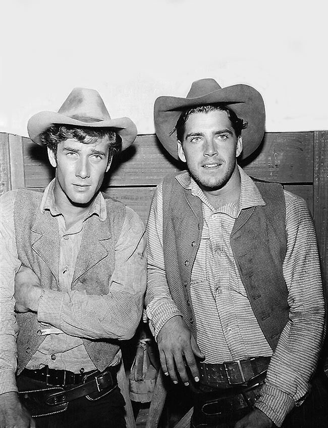 Robert Fuller, Van Williams