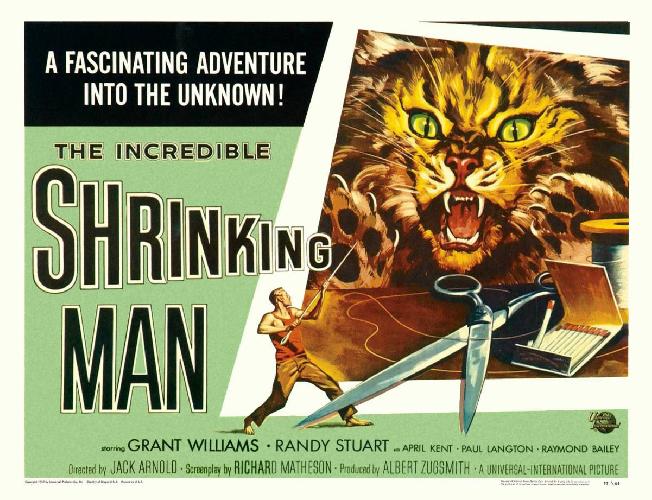The Incredible Shrinking Man picture