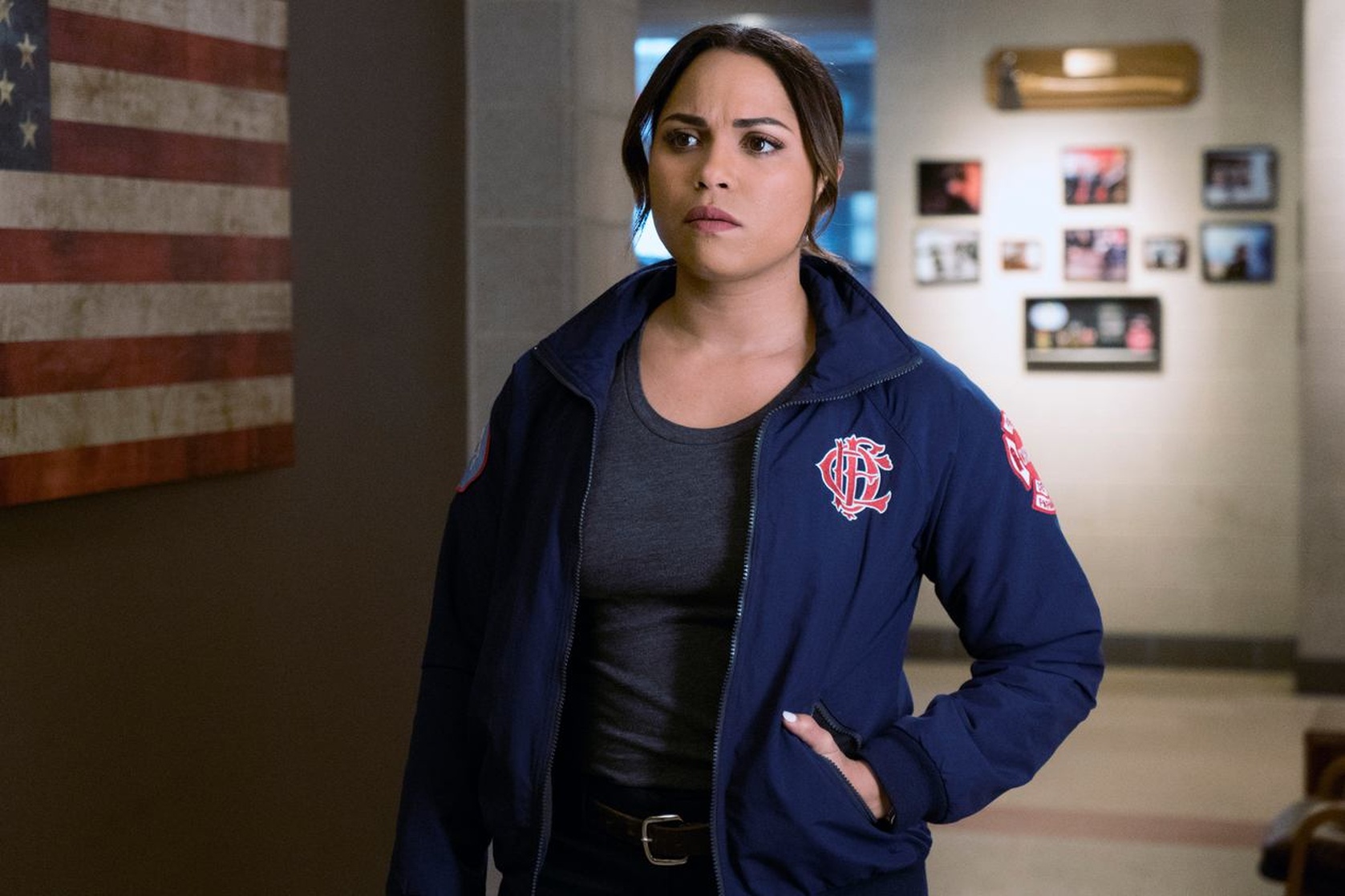 Picture of Monica Raymund