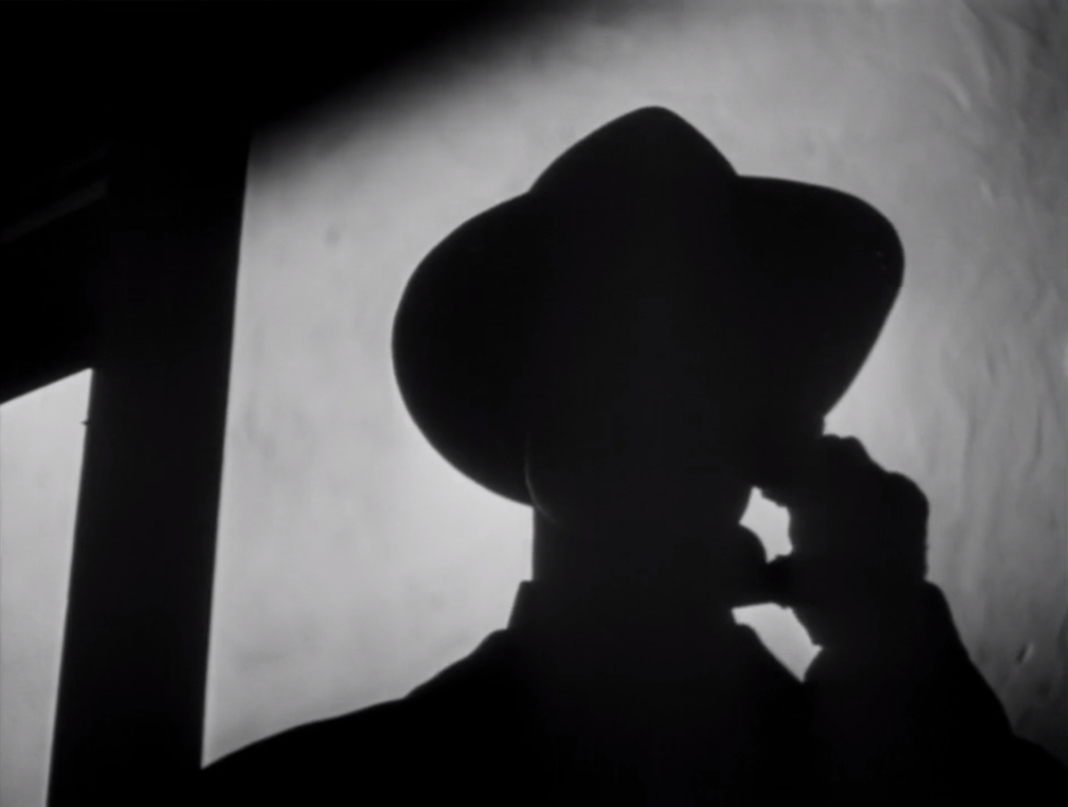 Picture of The Stranger