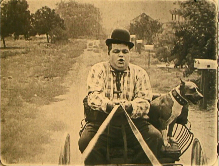 Picture of The Hayseed