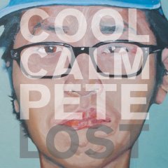 Lost: The Album image