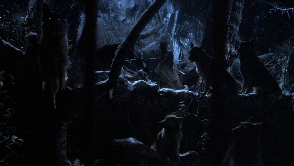 Picture of The Company of Wolves