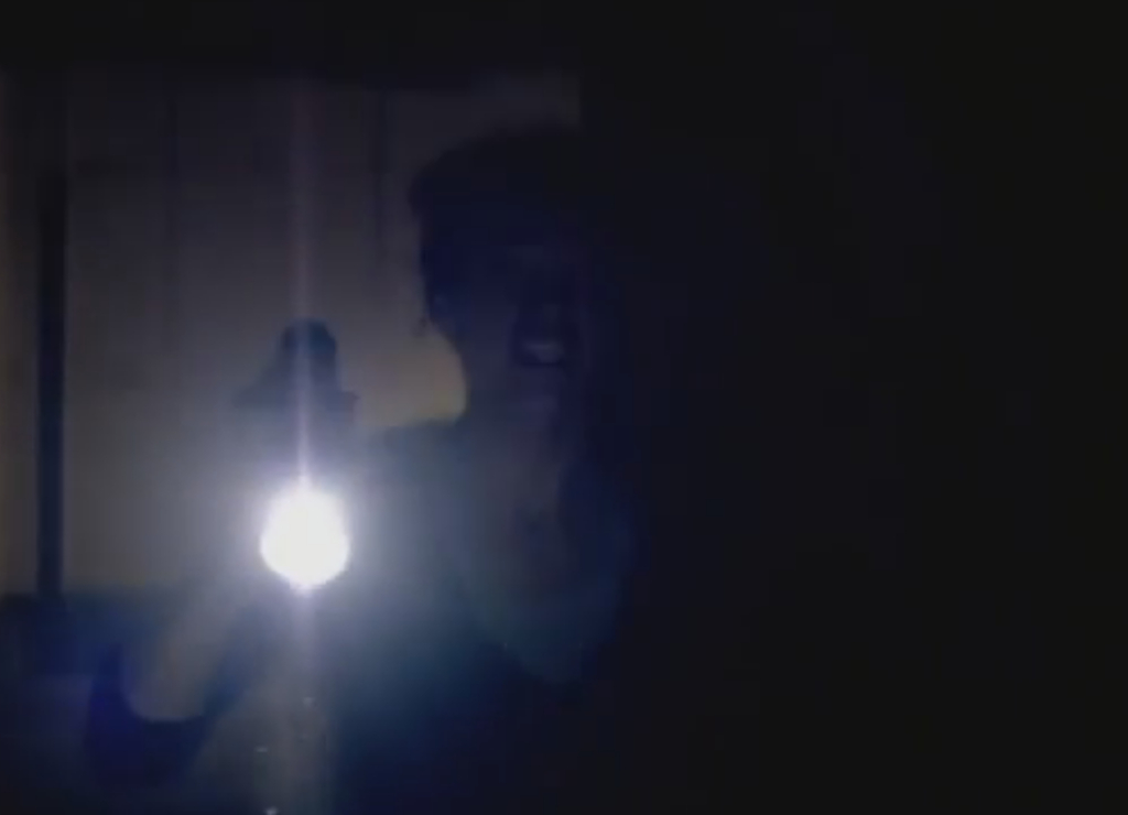 Picture of Shadow Puppets (2007)