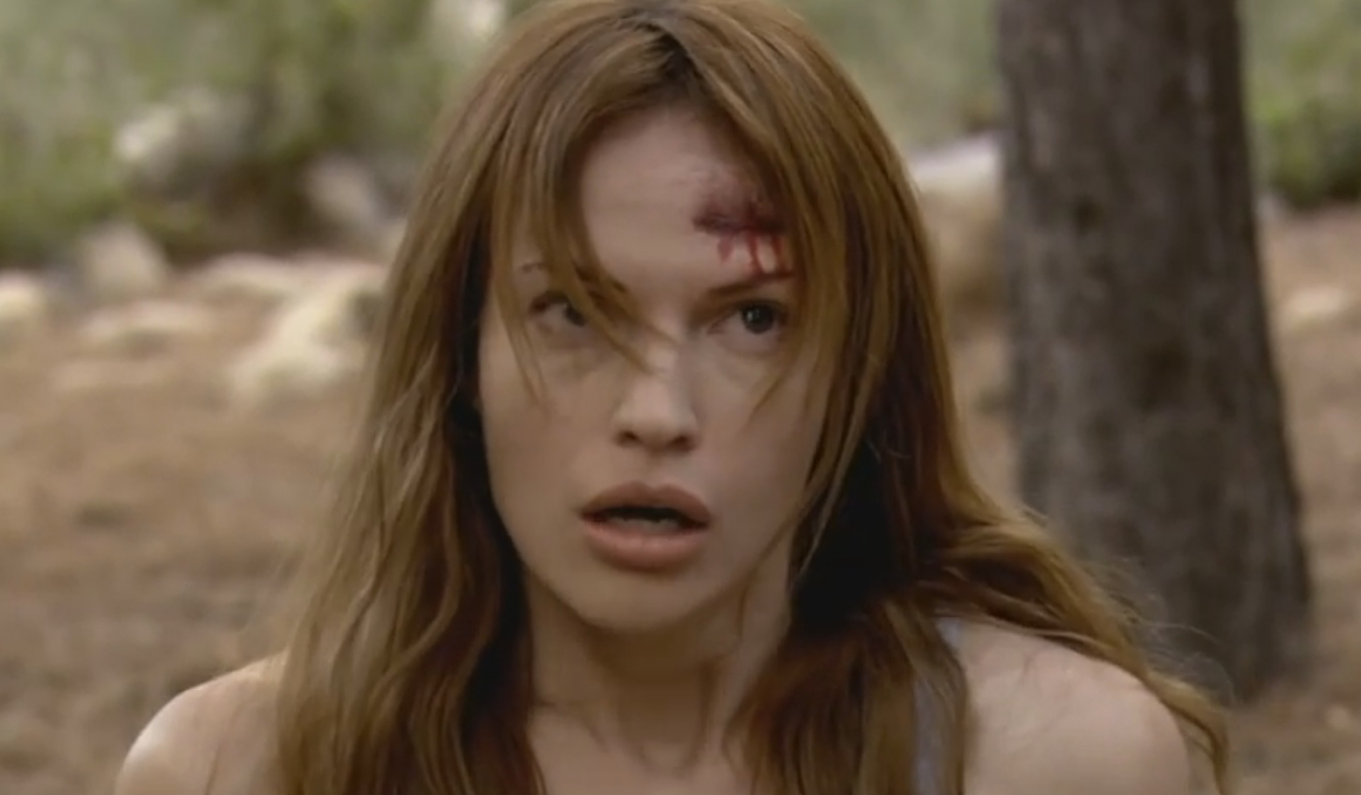 Picture of Shadow Puppets (2007)