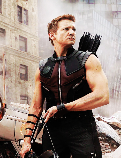 Picture of Clint Barton / Hawkeye (Jeremy Renner)