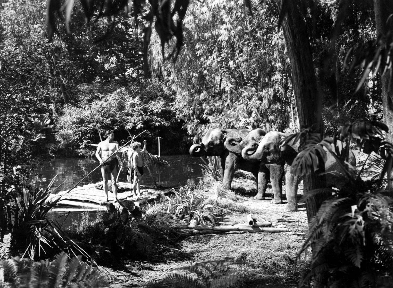 Picture of Tarzan and the Amazons (1945)