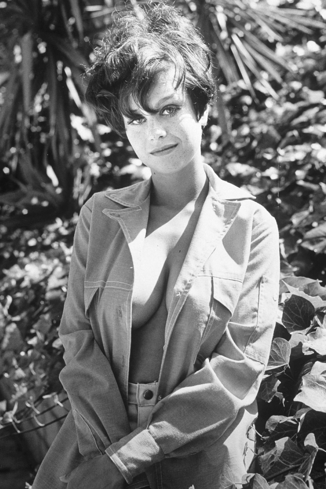 Picture of Lana Wood