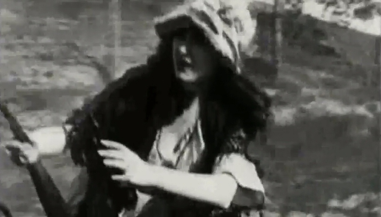 Picture of The Iron Mule