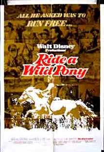 Image of Ride a Wild Pony