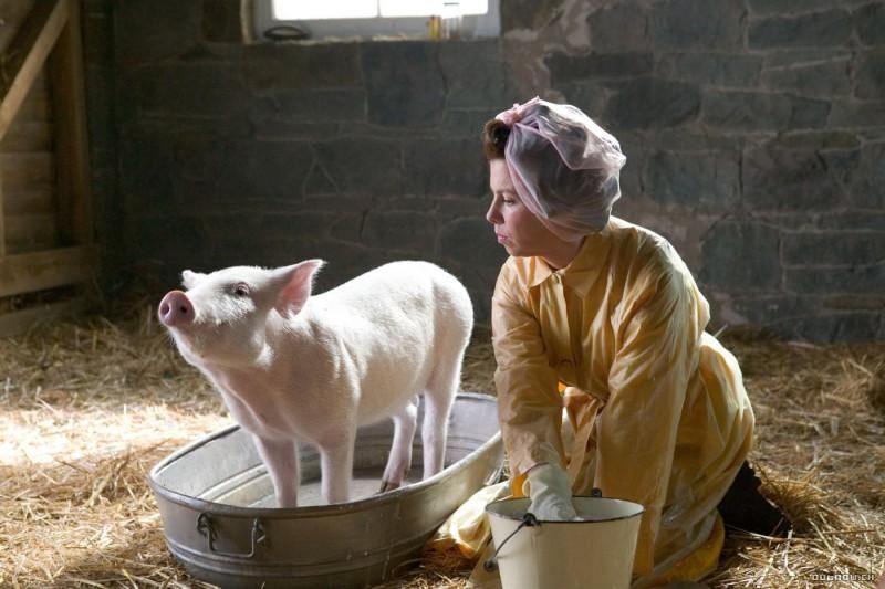 Picture of Charlotte's Web