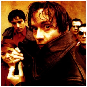 Picture of Pulp