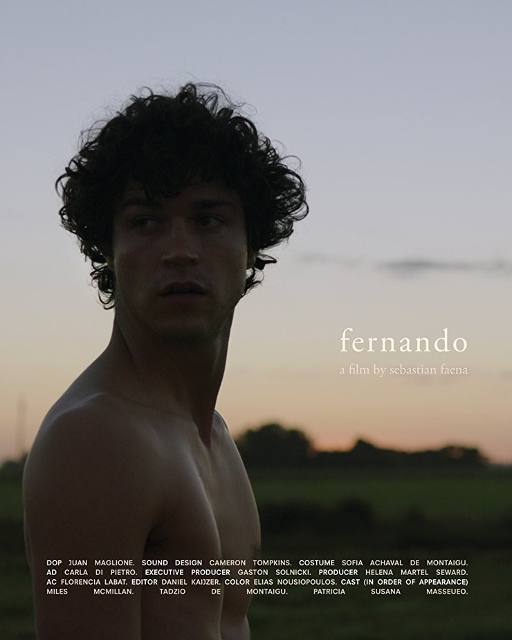 Picture of Fernando (2017)