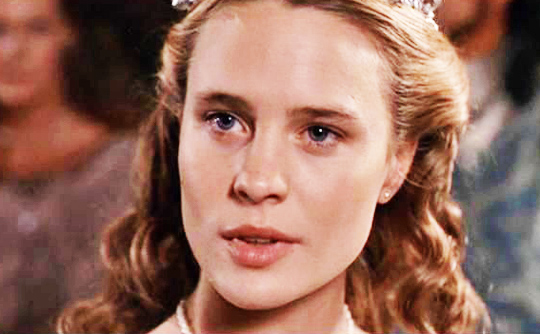 Picture of The Princess Bride