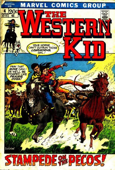 Picture of The Western Kid