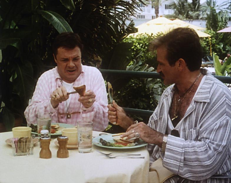 Picture of The Birdcage 1996)