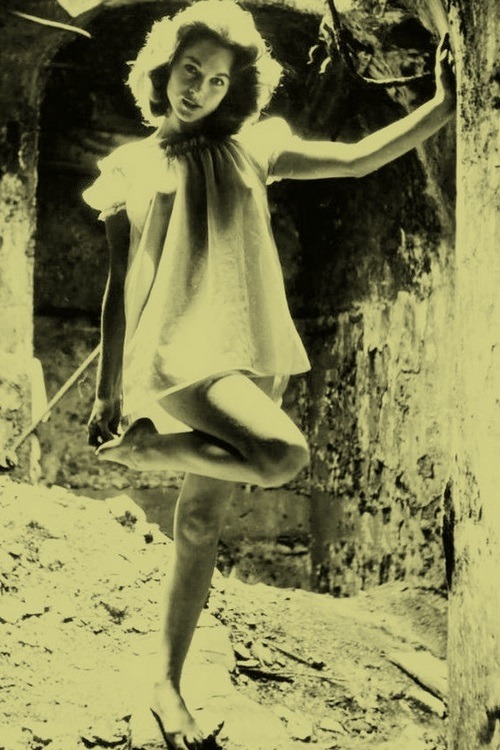 Shirley Anne Field picture