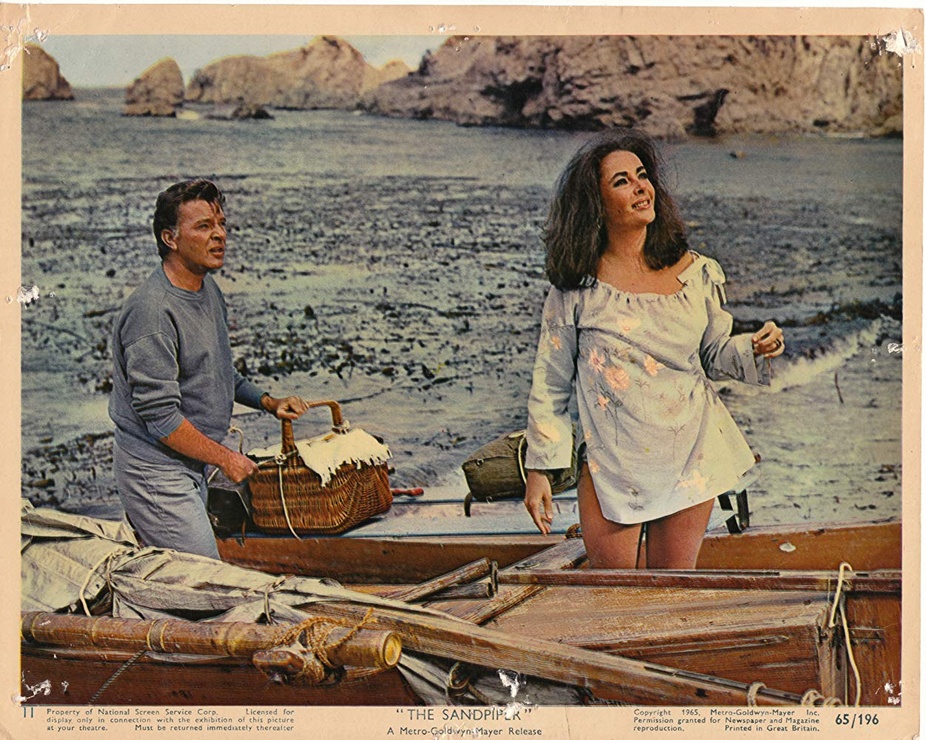 Image of The Sandpiper