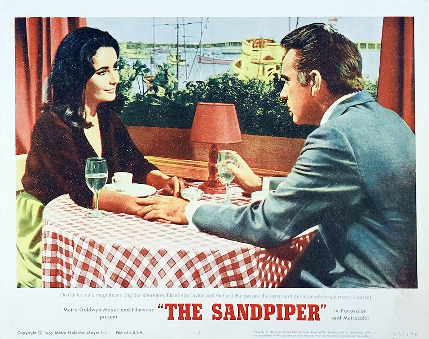 Image of The Sandpiper