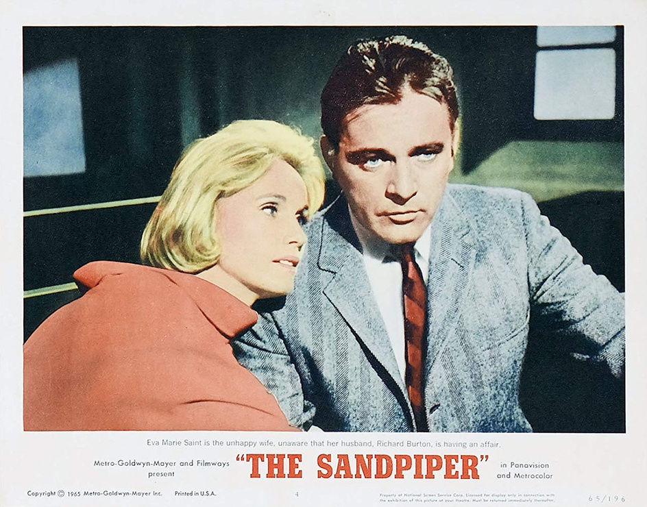 Picture of The Sandpiper