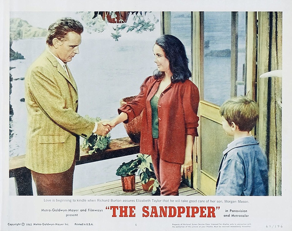 Picture of The Sandpiper