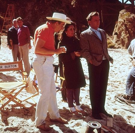 Picture of The Sandpiper