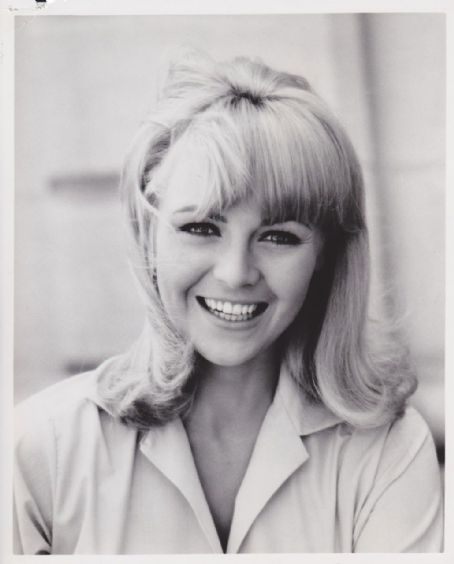 Picture of Linda Foster