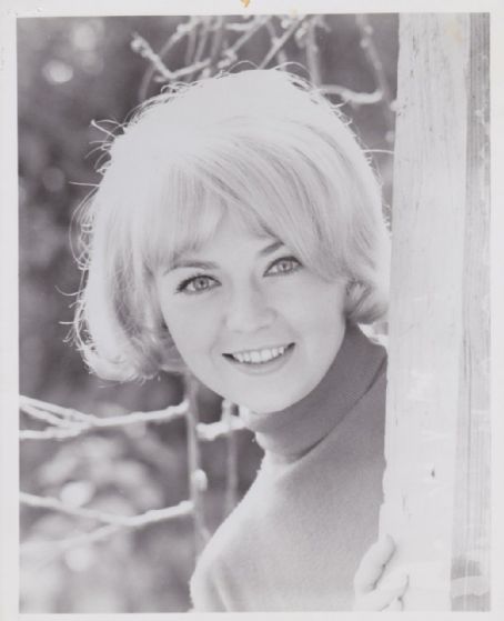 Picture of Linda Foster