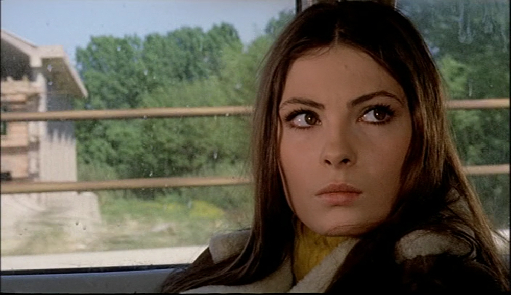 Picture of Indian Summer