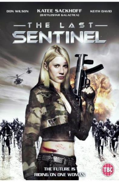 Picture of The Last Sentinel