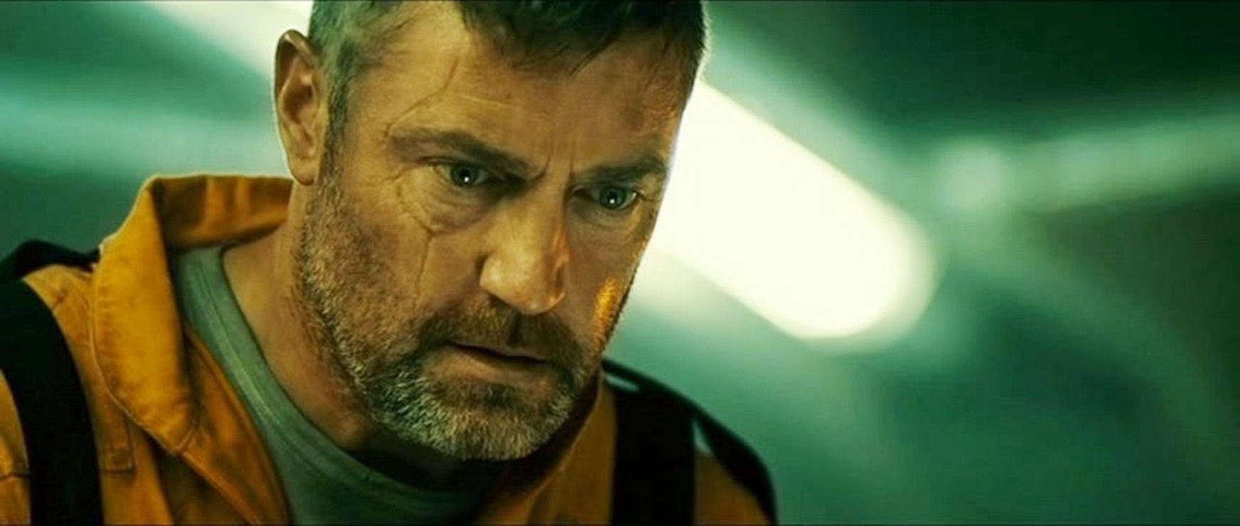 Picture of Vincent Regan