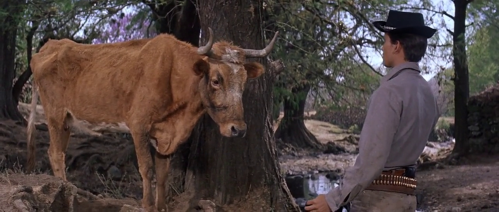 Picture of The Magnificent Seven