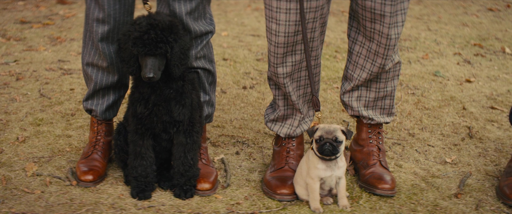 Image of Kingsman: The Secret Service