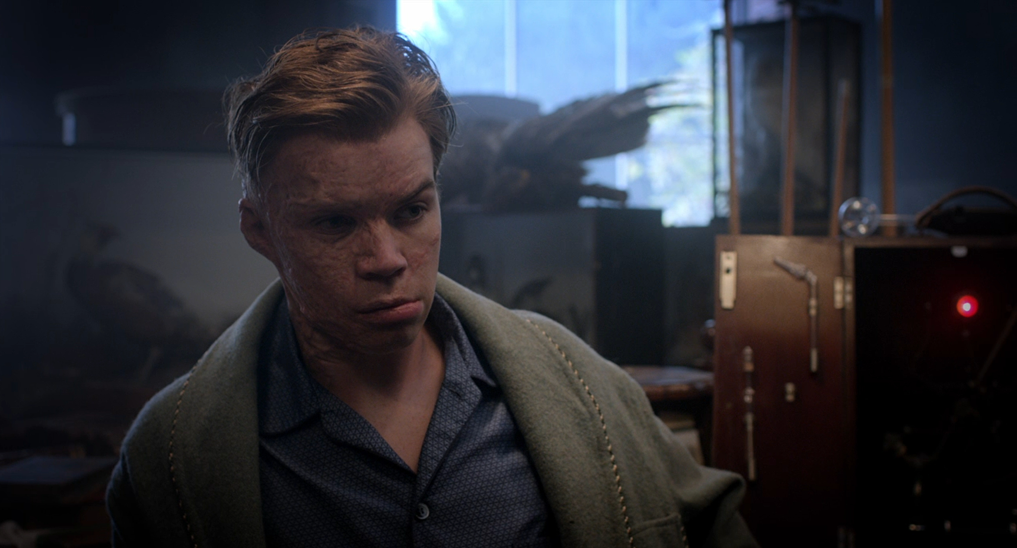 Picture of The Little Stranger