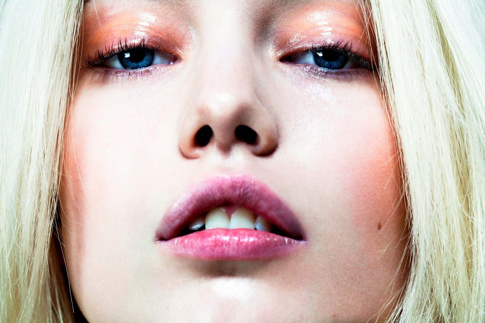 Elsa Fredriksson Holmgren image