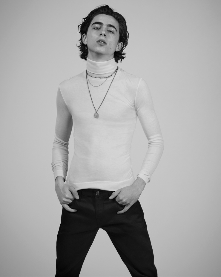Picture of Timothée Chalamet