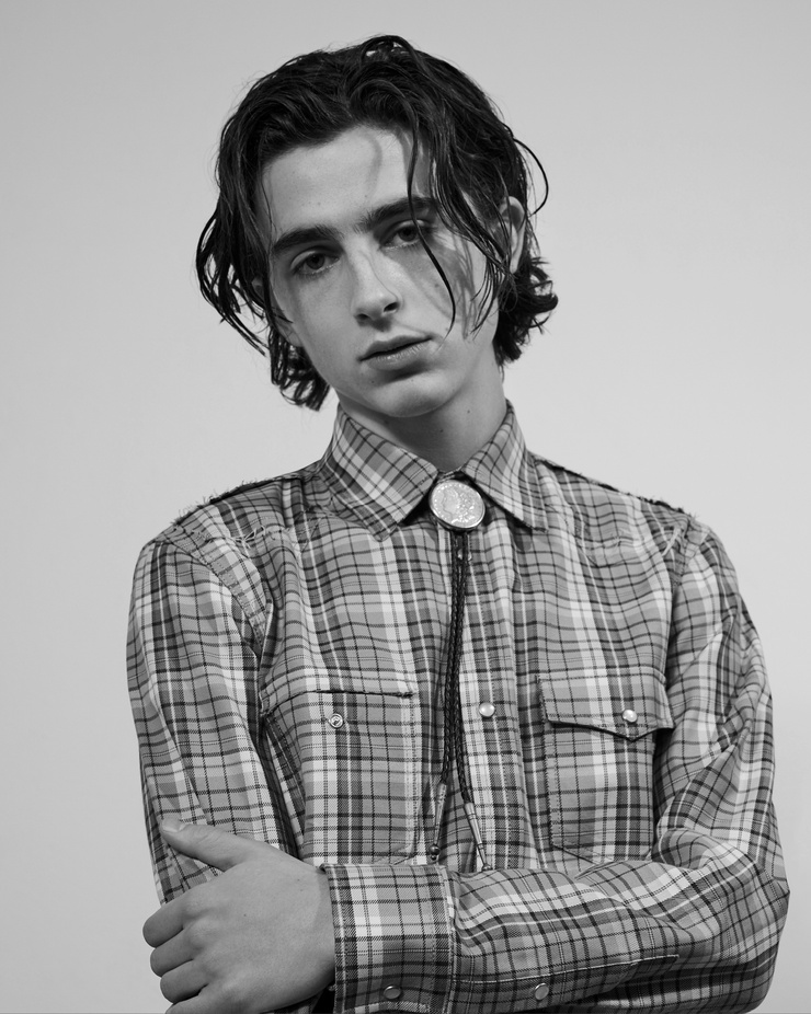 Picture of Timothée Chalamet