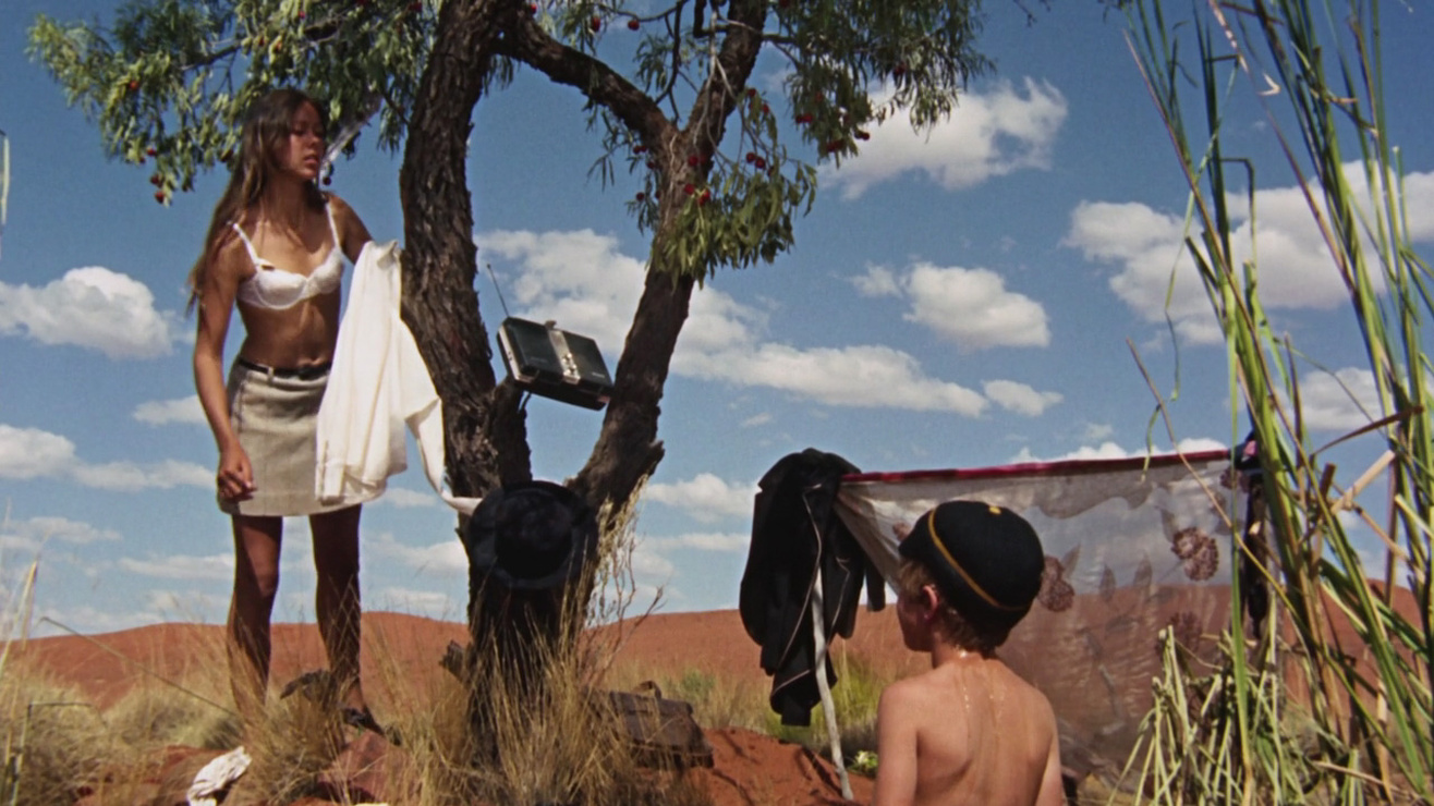 Picture of Walkabout (1971)