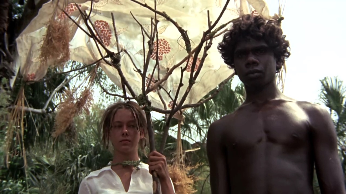 Picture of Walkabout (1971)