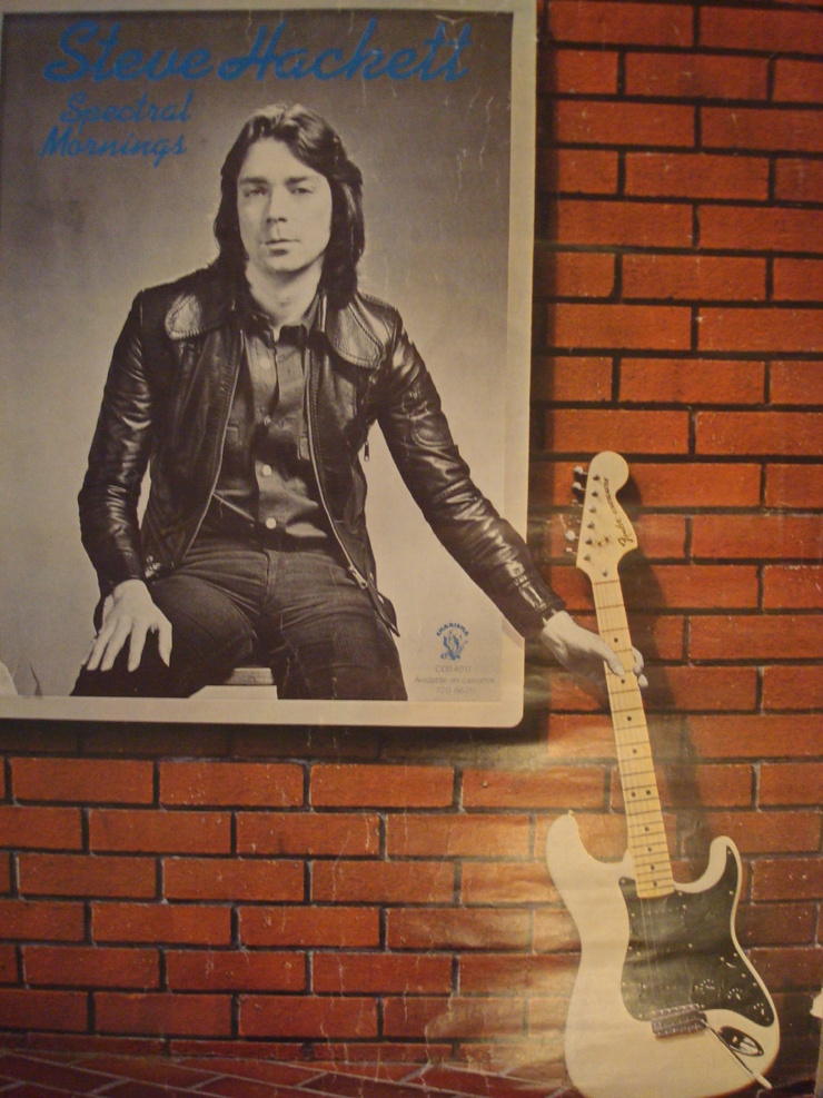 Picture of Steve Hackett