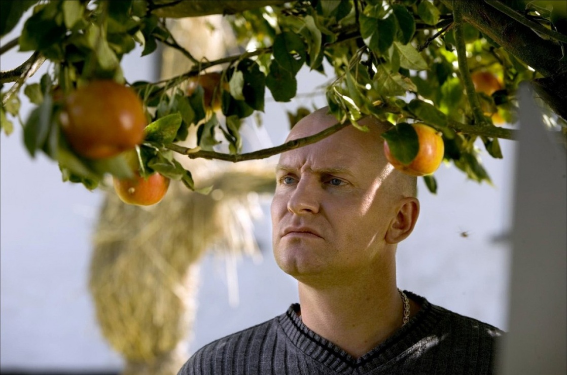 Picture of Adam's Apples