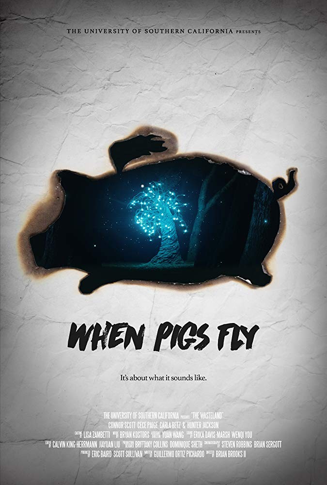 Picture of When Pigs Fly (2017)