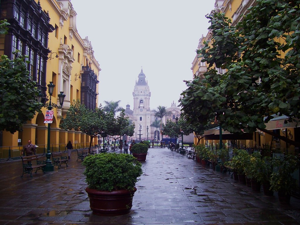 Picture of Lima