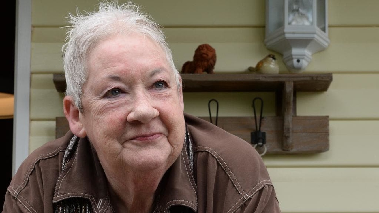 Picture of Anna Hamilton Phelan