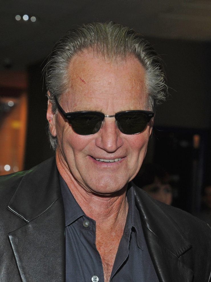 Image of Sam Shepard