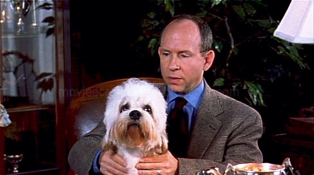 Best in Show picture