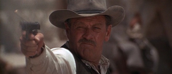 Picture of The Wild Bunch