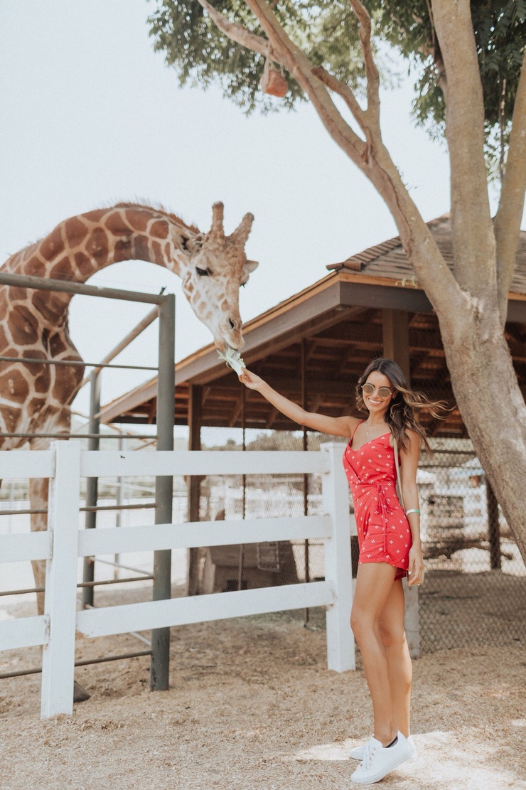 Madison Justice image