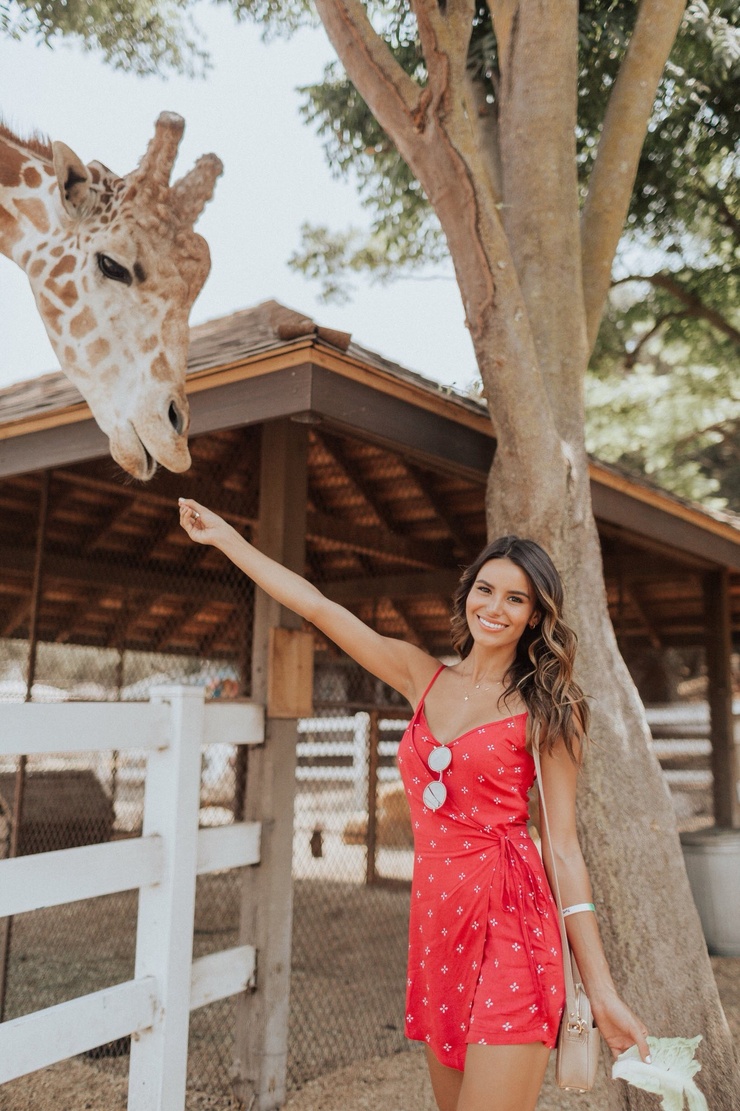 Image of Madison Justice